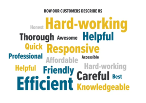 Twin Home Experts - Rodent Control & Home Services