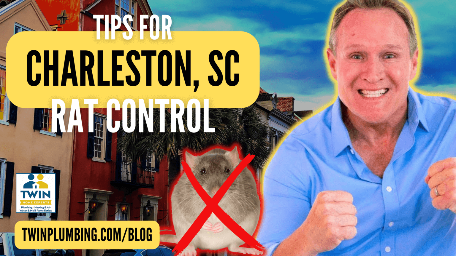 TIPS for Rat Control in Charleston, SC!